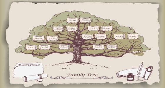 Understanding Family Trees And Their Significance - Support for Stepdads